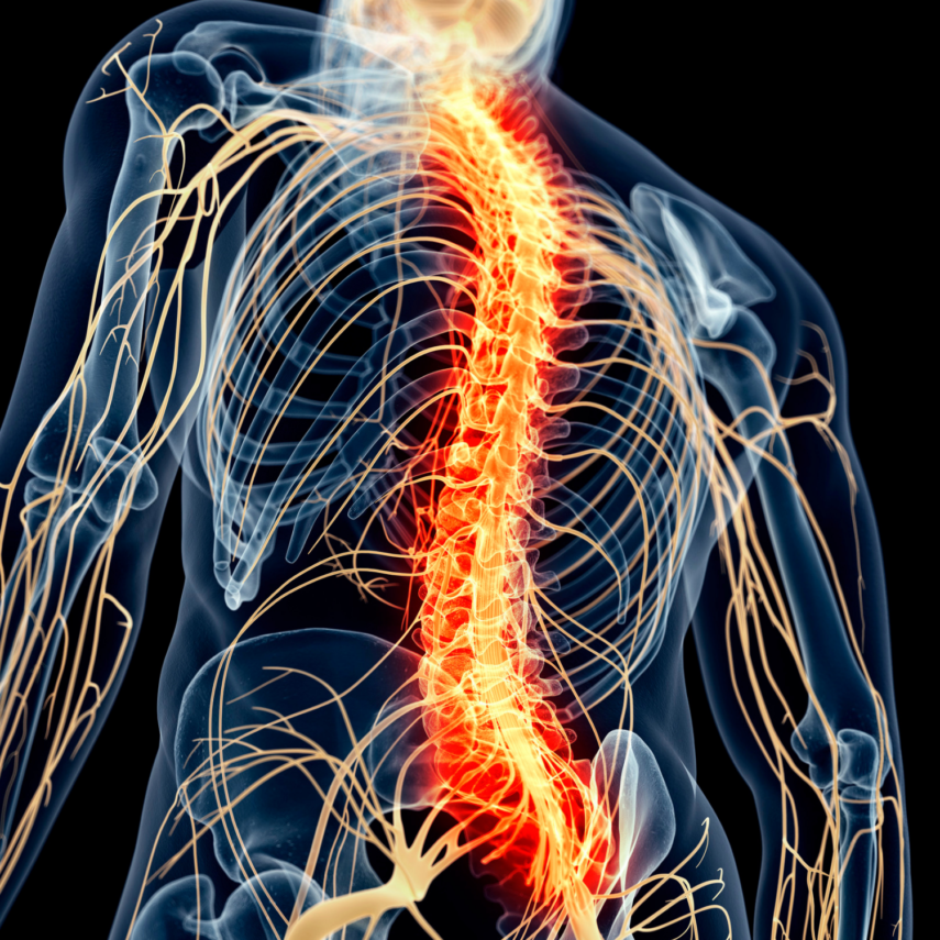 Myelopathy | Digital Magazine of the SSRA
